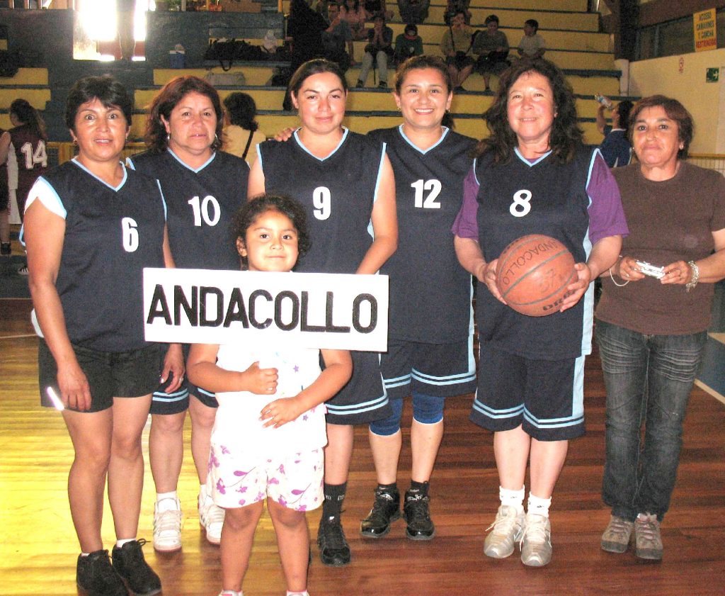 El Andacollino - Diario Electrónico de Andacollo