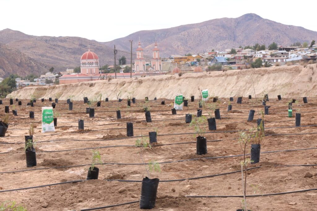 Andacollo da un paso histórico en sostenibilidad con el primer relave ...